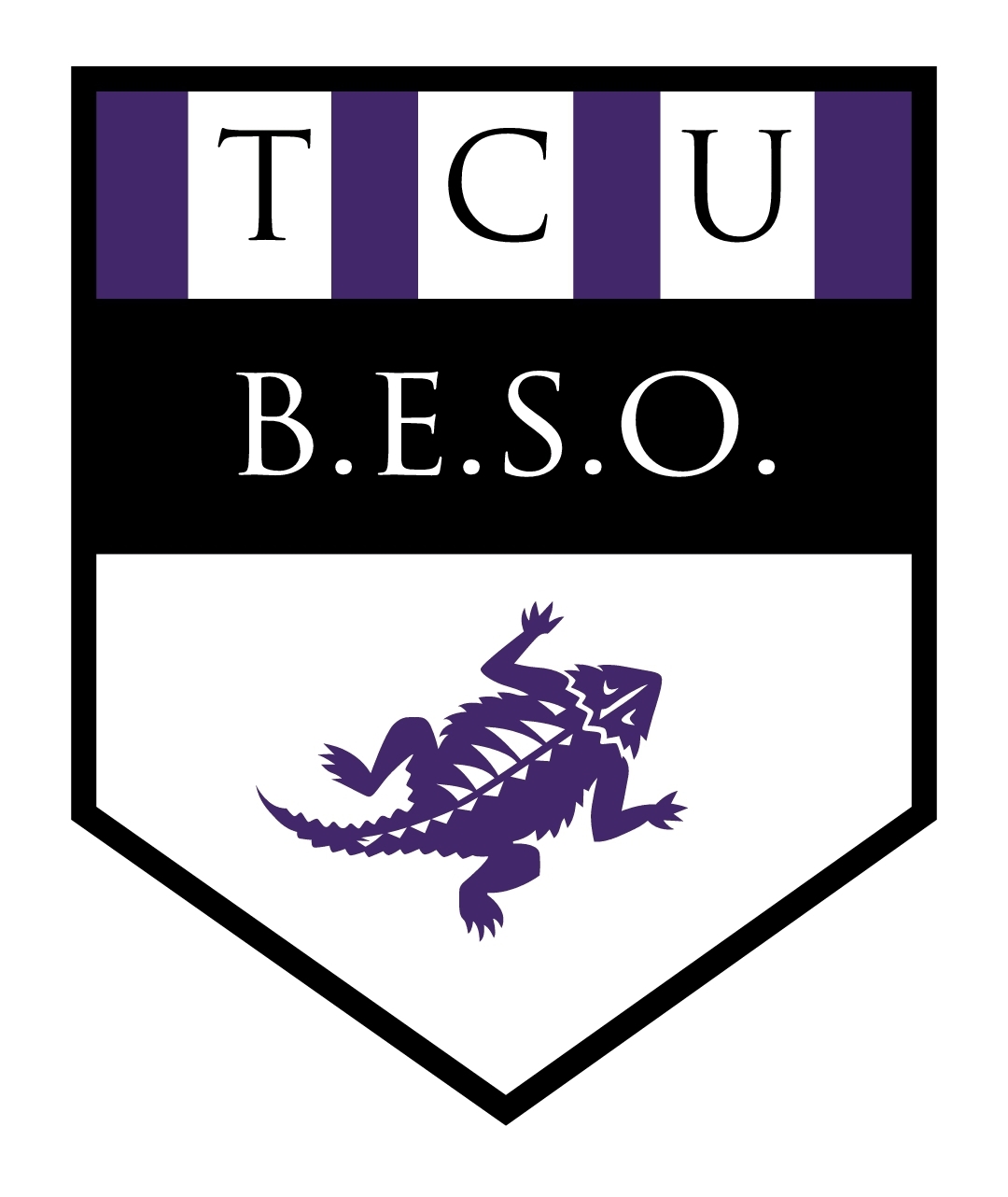 What2Do@TCU | Map Your flag